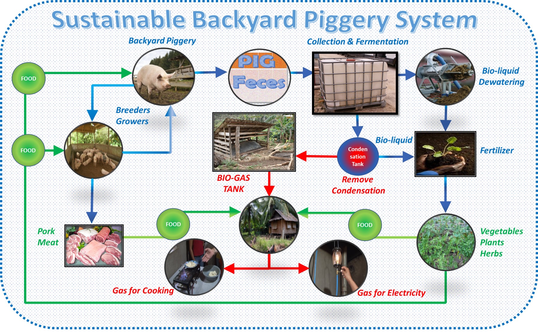 Sustainable Backyard Piggery System – Learning Together Now